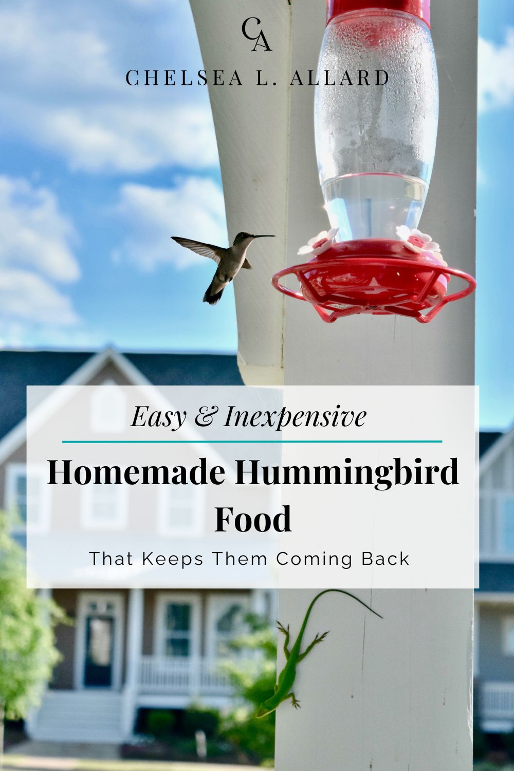 Easy Homemade Hummingbird Food Recipe - chelsealallard.com